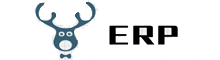 China ERP Software manufacturer